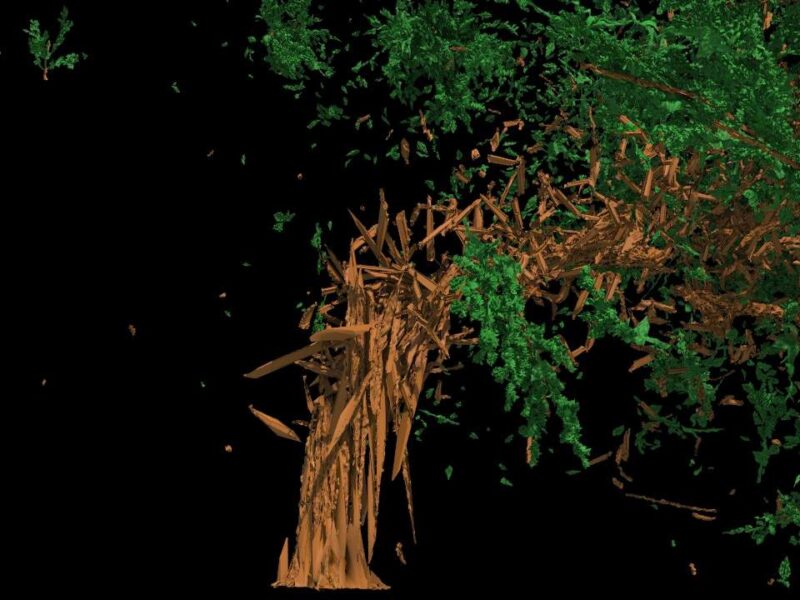 Houdini Power Asset - Tree Destruction Asset