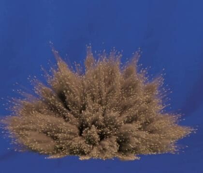 Houdini Superformula and Frei Otto Asset Bundle – IDA – VFX STUDIO