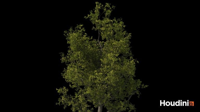 Houdini – Tree Generator Asset - IDA - VFX STUDIO