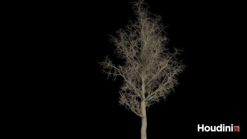 Houdini – Tree Generator Asset - IDA - VFX STUDIO