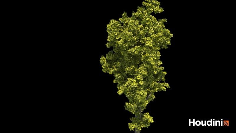 Houdini – Tree Generator Asset - IDA - VFX STUDIO