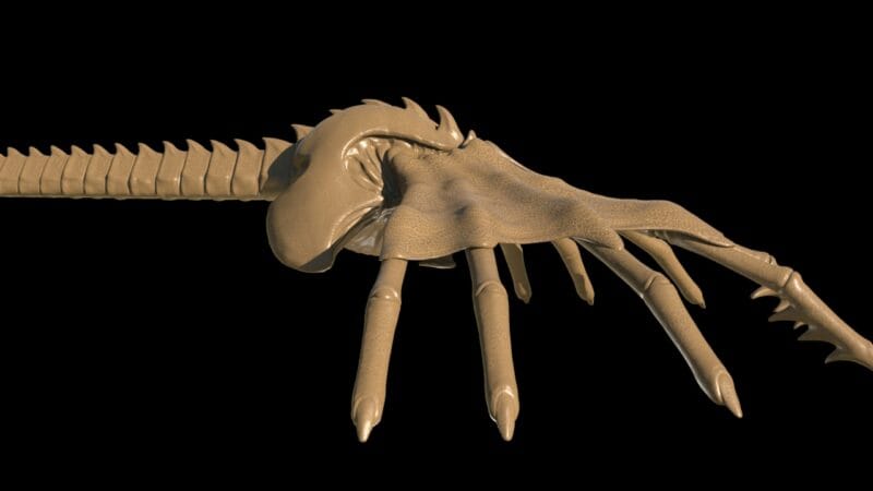 STL Facehugger Queen Model for Print – IDA – VFX STUDIO